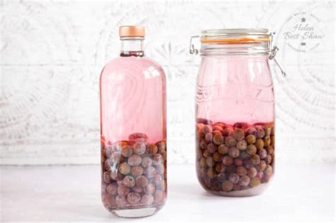 How To Make Sloe Gin The Perfect Traditional Home Made Gift