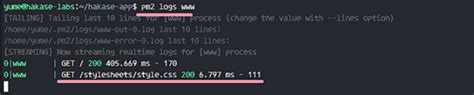 如何在 ubuntu 上使用 pm2 和 nginx 部署 node js 应用 linuxstory