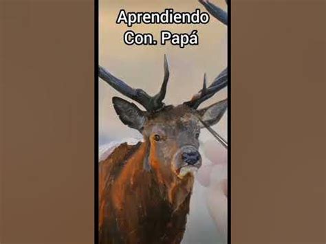 Tutoríal Como Pintar Un Venado Youtube