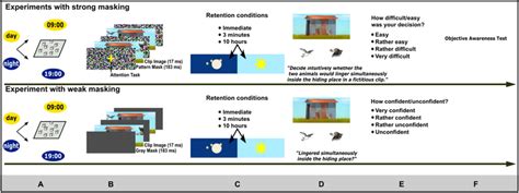 Experimental Design A Encoding Took Place In The Morning Or In The Download Scientific