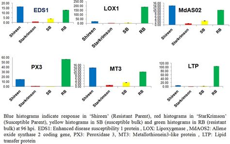 Expression Analysis Of Cdgs Analyzed By Qrt Pcr During V Download