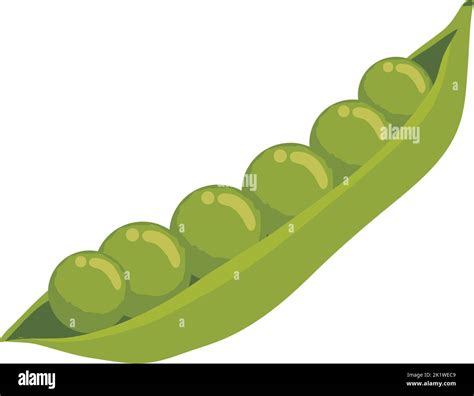 Peans Stock Vector Images Alamy