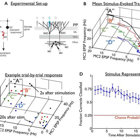 Persistent Mnemonic Representations Formed By Variable Neural