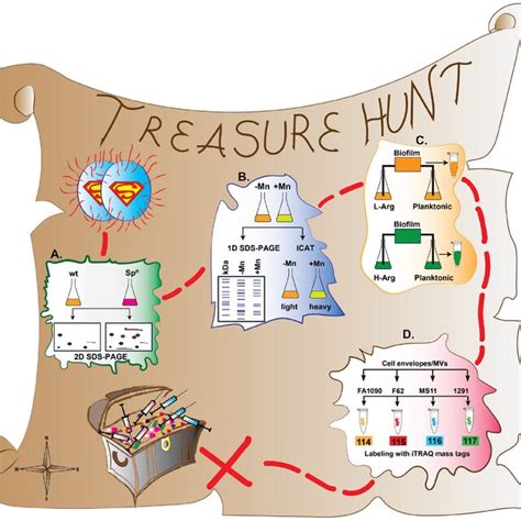 A Treasure Hunt Map Of Proteomic Approaches Applied To Better