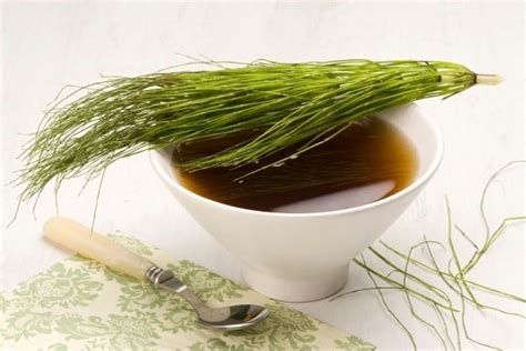 Remedios Caseros para la Próstata Inflamada SEGUROS Y EFECTIVOS