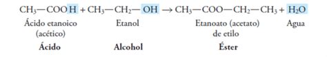 Alcohol Éter AldehÍdo Cetona Ácidos CarboxÍlicos Ester Animas Amidas Y