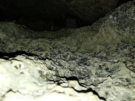 Blog Utama Ym Paduka Ayahanda Pay 8 Pertapaan Mingguan Puncak Jerneh