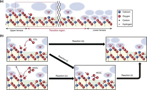 A Atomic Scale Model Of A Step Edge With A Tr On The Calcite 10 14 Download Scientific