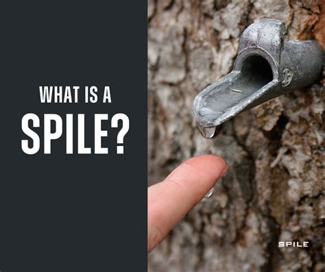 Spile Wondering What Our Brand Means A Spile Is A Small Facebook