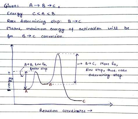 Solved Hello Can You Please Help Me With This Question Course Hero