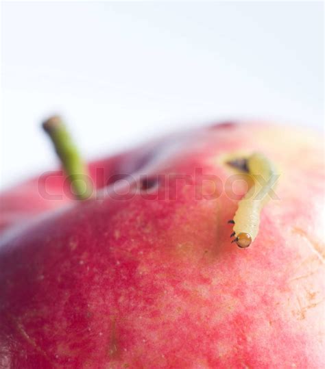 Worm In Red Apple Stock Image Colourbox