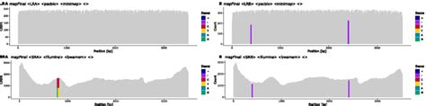 Final Mapping Of Long Reads And Short Reads To The Refined