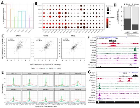 Binding Of Gata2 3 And Co Factors On Different Families Of
