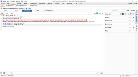 Nssctf Swpuctf 2021 新生赛 Doyouknowplease Use Wllm Browser
