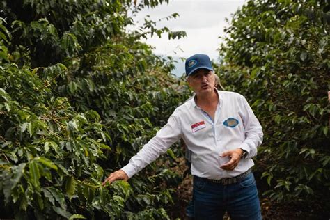 Sensory Lab Chronicle Coffee