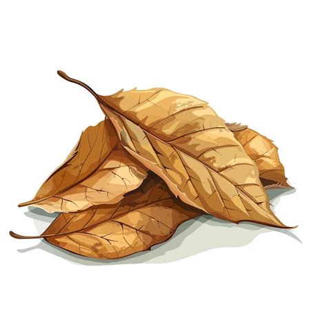 Dried Leave Premium Ai Generated Vector