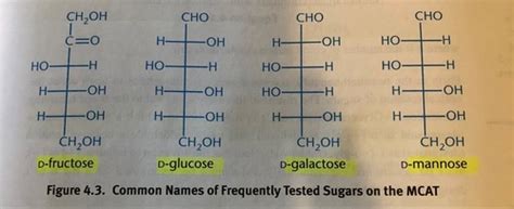 Chapter 4 Carbohydrate Structure And Function Flashcards Quizlet