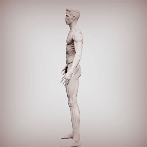 3d Man Woman Anatomy Constructor Turbosquid 2296389