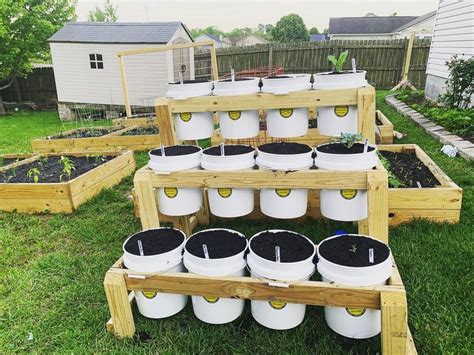 Creative Plans For Raised Bucket Garden Designs That Thrive