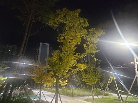 영환 엄마 잠깐 저 좀 보세요 옛날처럼요 벌써 십사 년이 흘렀어요 전 죽었어요 엄마는 손주를 보셨고요 전 조지하고