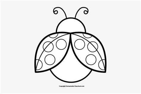 Clipart Ladybug Black And White