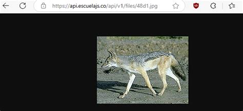 Downloading And Uploading Binary Files With Vcf Orchestrator Cma