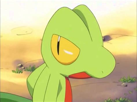 Treecko Screenshot Pokemon Pikachu Character