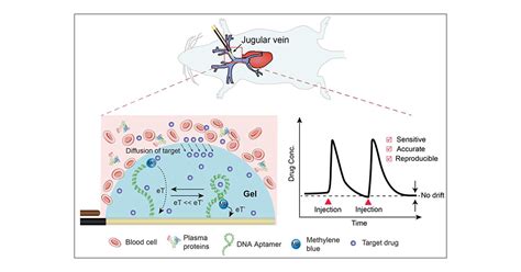 Implantable Hydrogel Protective Dna Aptamer Based Sensor Supports Accurate Continuous