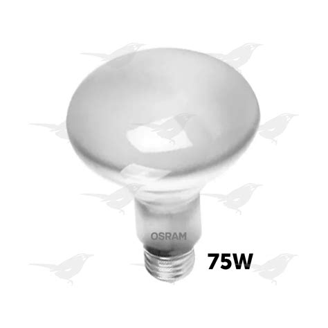 Foco Osram Reflector 75w Anyhow Súper A Domicilio