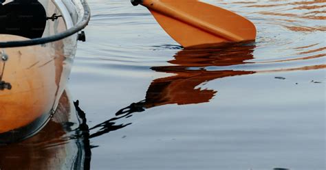 물 위에서 노를 젓는 카누를 탄 남자 사진 Unsplash의 노 이미지