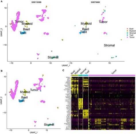Cell Clustering Analysis For Single Cell Rna Seq Of Tnbc Cells In The Download Scientific