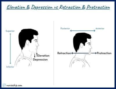 20 Different Types Of Anatomical Body Movements Examples