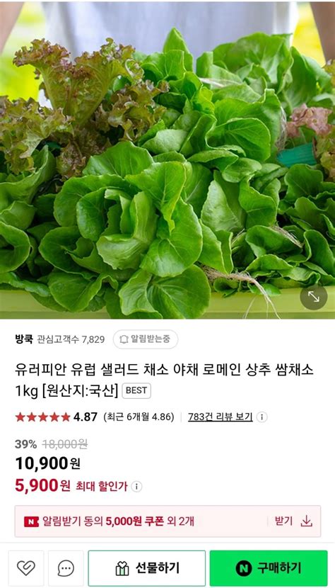 네이버 유러피안 유럽샐러드 상추 쌈채소 1kg5900 무배 5900원 무료 핫딜 에펨코리아