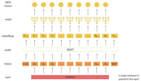 Large Language Models BERT Bidirectional Encoder Representations From Transformer Towards