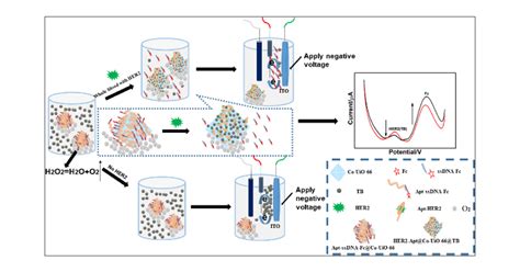 Microswimmer Based Ultrasensitive Dual Signal Ratiometric