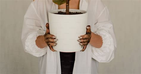 화분에 심은 식물을 얼굴 앞에 들고 있는 여자 사진 Unsplash의 식물 이미지