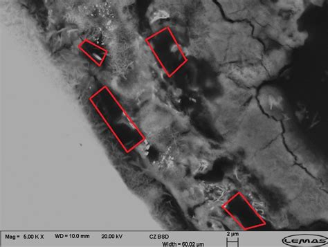 129 Questions With Answers In SEM EDX Science Topic