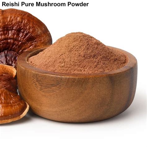 Reishi Mushroom Extract Powder At ₹ 1650kg Ganoderma Extract In