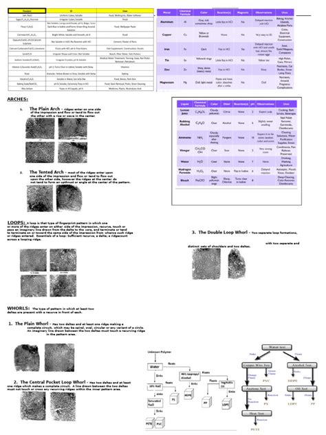 Crime Busters Cheat Sheet Pdf Acid Physical Sciences