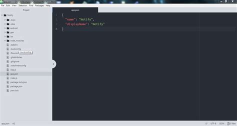 Failing To Start Up A Native Base Project · Issue 2277 · Geekyantsnativebase · Github