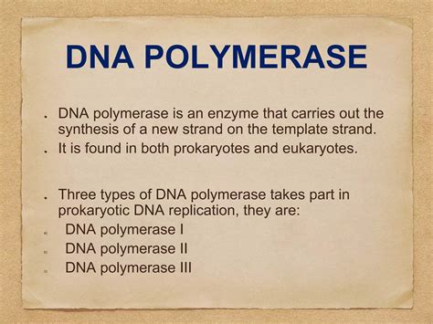 Dna Replication In Prokaryotes Pptx