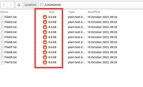 How To Unzip A Zip File In Ubuntu Linux Genie