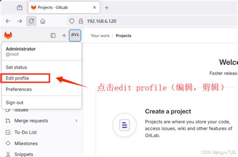 gitlab设置中文 csdn博客