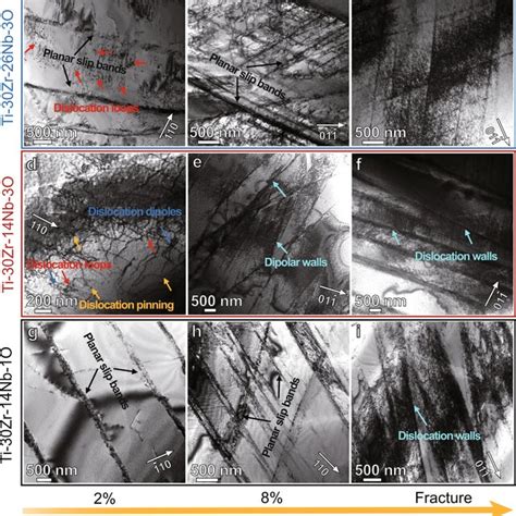 Dislocation Morphologies Of Pre Strained And Fractured Samples Of