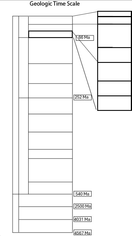 Geologic Time Scale Diagram Quizlet