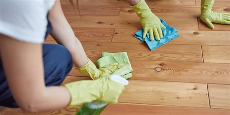 How To Clean Up After A Mouse Infestation