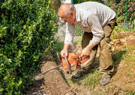 Senior Man Cutting Tree With Chainsaw Stock Image Image Of Farmer Outdoors 148770743