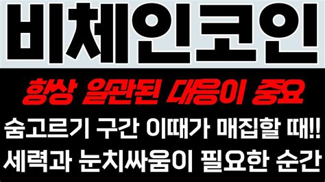 비체인 전망 숨고르기 구간 이때가 매집할 때 세력과 눈치싸움이 필요한 순간 Youtube
