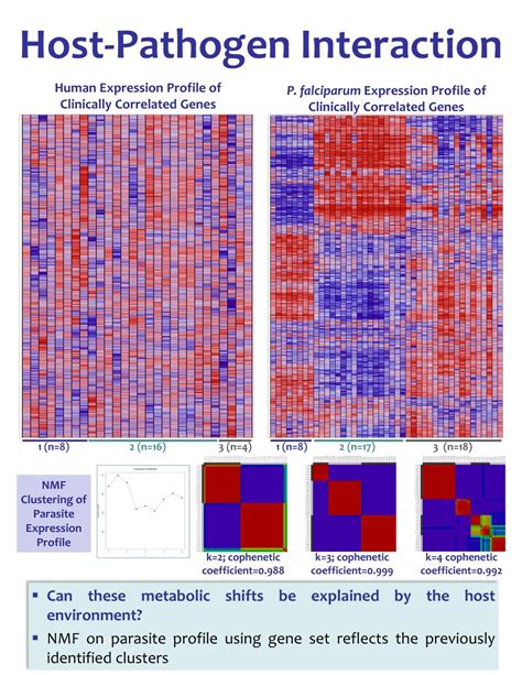 Ppt P Falciparum Life Cycle And Pathogenesis Of Malaria Powerpoint