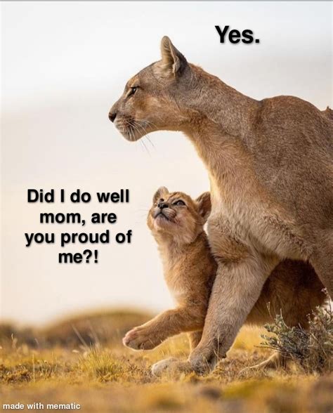 Youre The Pride Of This Pride Little Cub Rwholesomememes